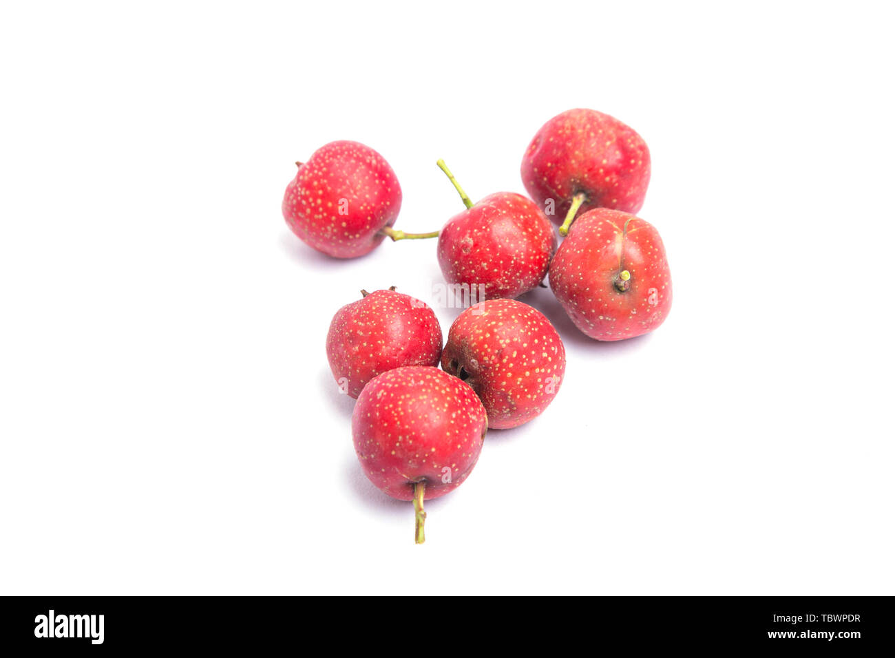 Real hawthorn hi-res stock photography and images - Alamy