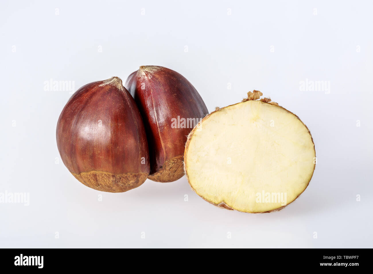 Chestnut horse anatomy hi-res stock photography and images - Alamy