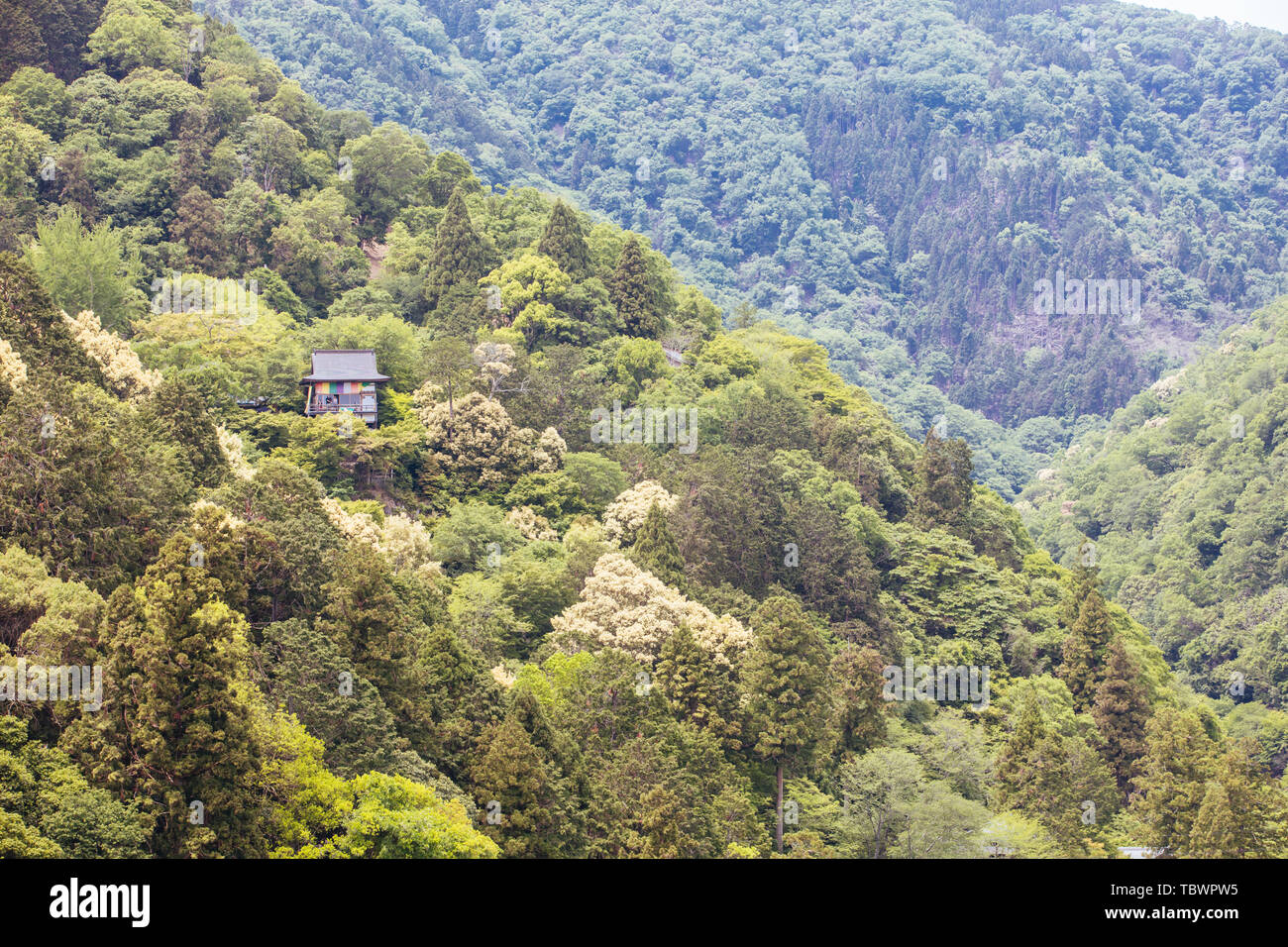Arashiyama Park Observation Deck Stock Photo - Alamy