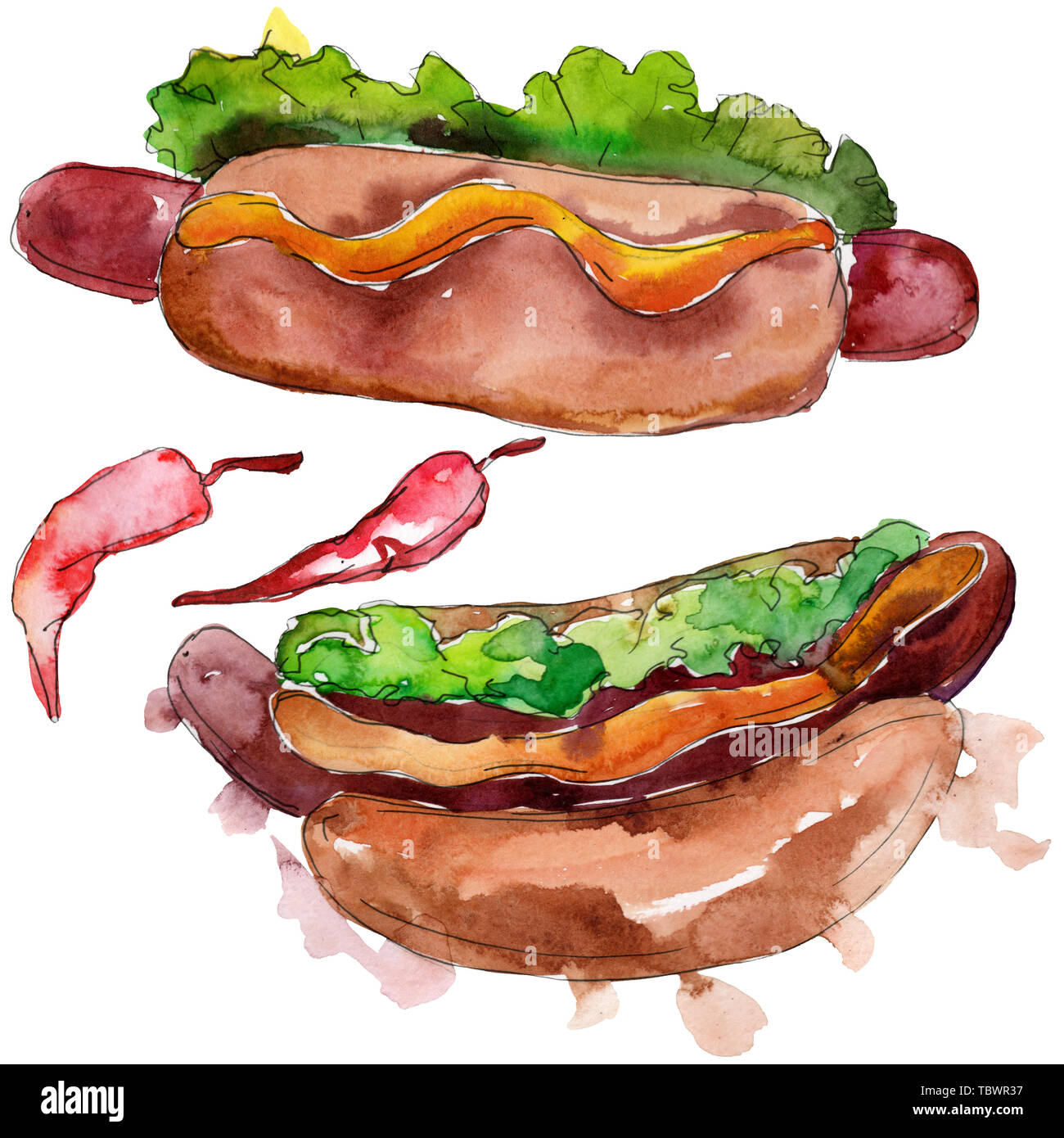 Hot dog fast food tasty food. Watercolor background illustration set ...