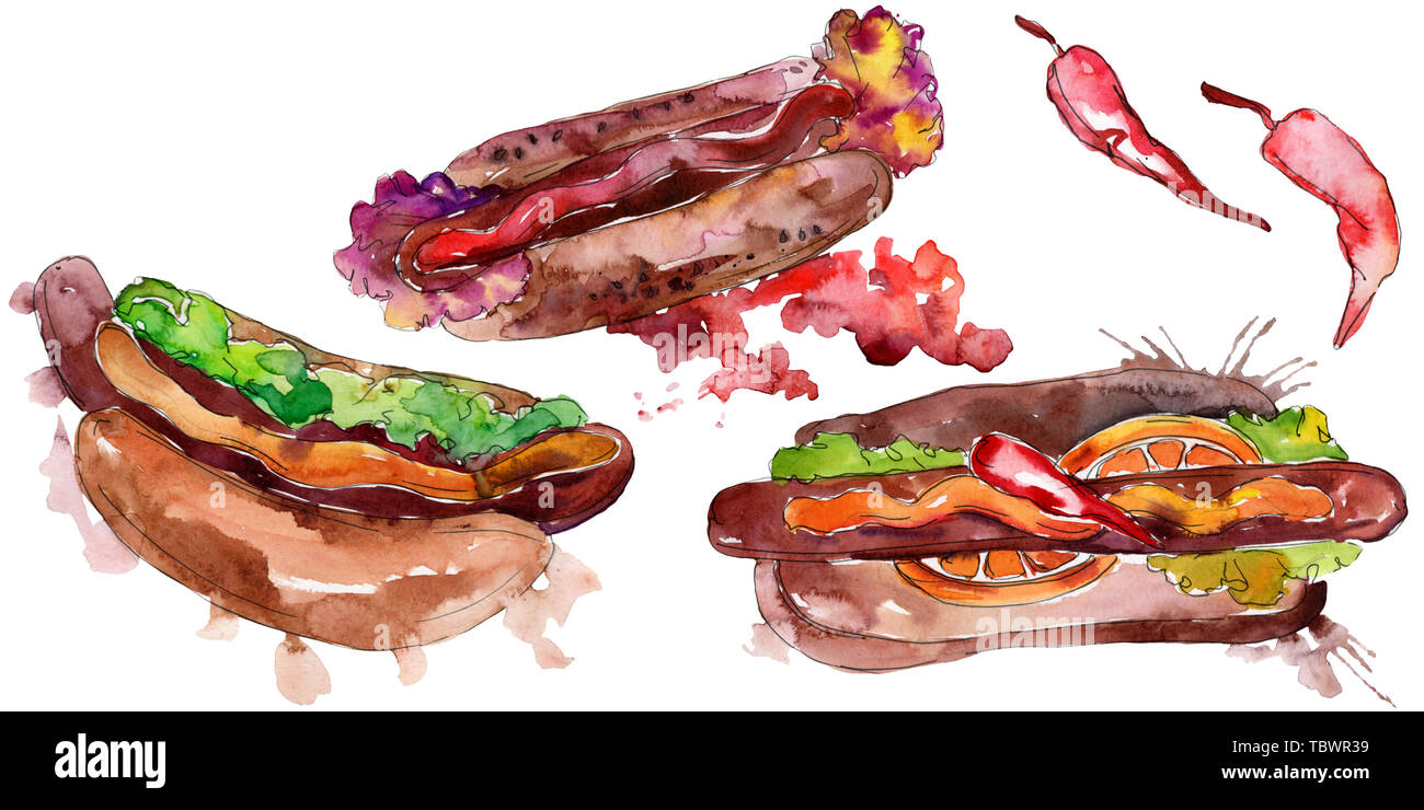 Hot dog fast food tasty food. Watercolor background illustration set ...