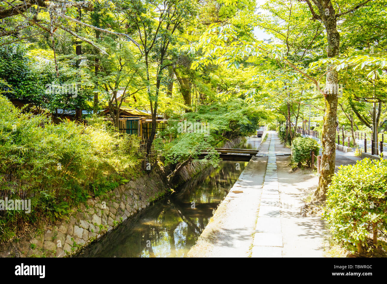 Philosopher's Walk in Kyoto Japan Stock Photo - Alamy