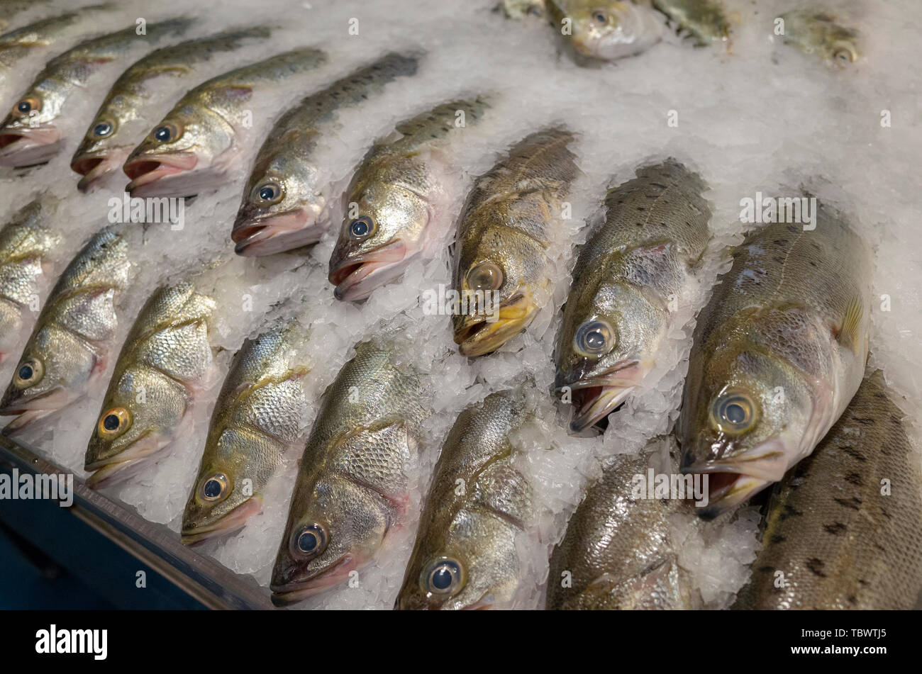 deep sea fish Stock Photo - Alamy