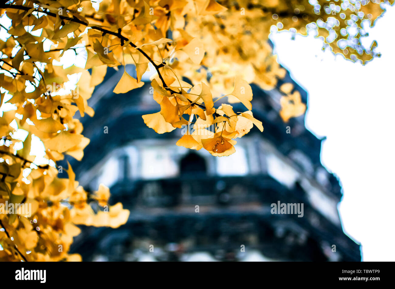 Autumn color of Huqiu, Suzhou Stock Photo - Alamy