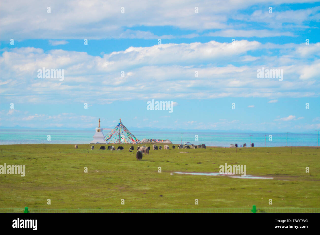 Qinghai lake qinghai lake scenery scenery around the lake hi-res stock ...