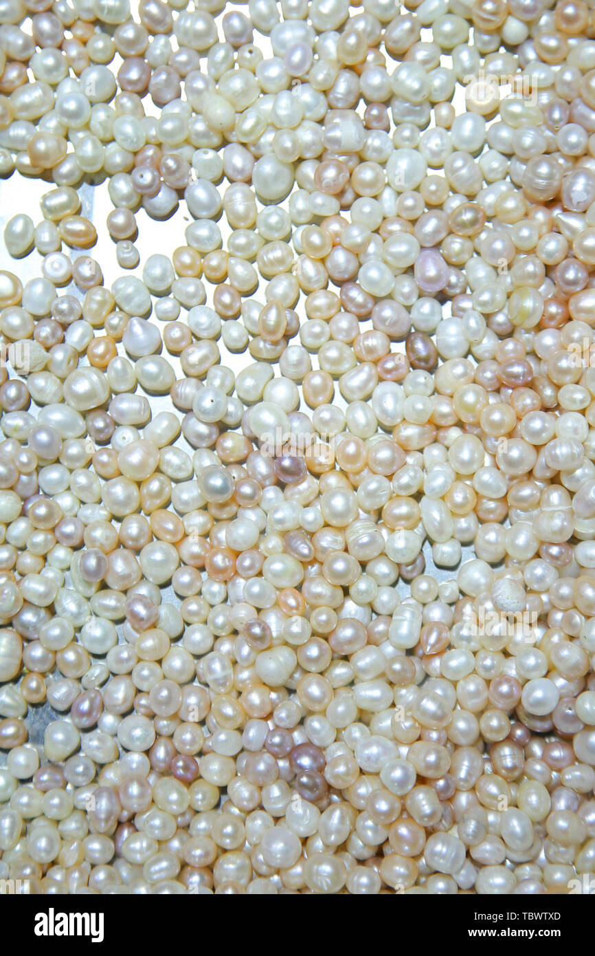 Freshwater pearls hi-res stock photography and images - Alamy