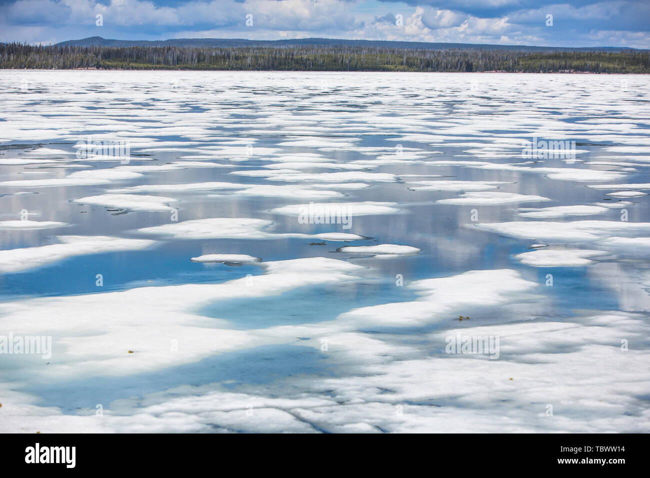 In Yellowstone National Park in early summer of May, the Huodong River ...