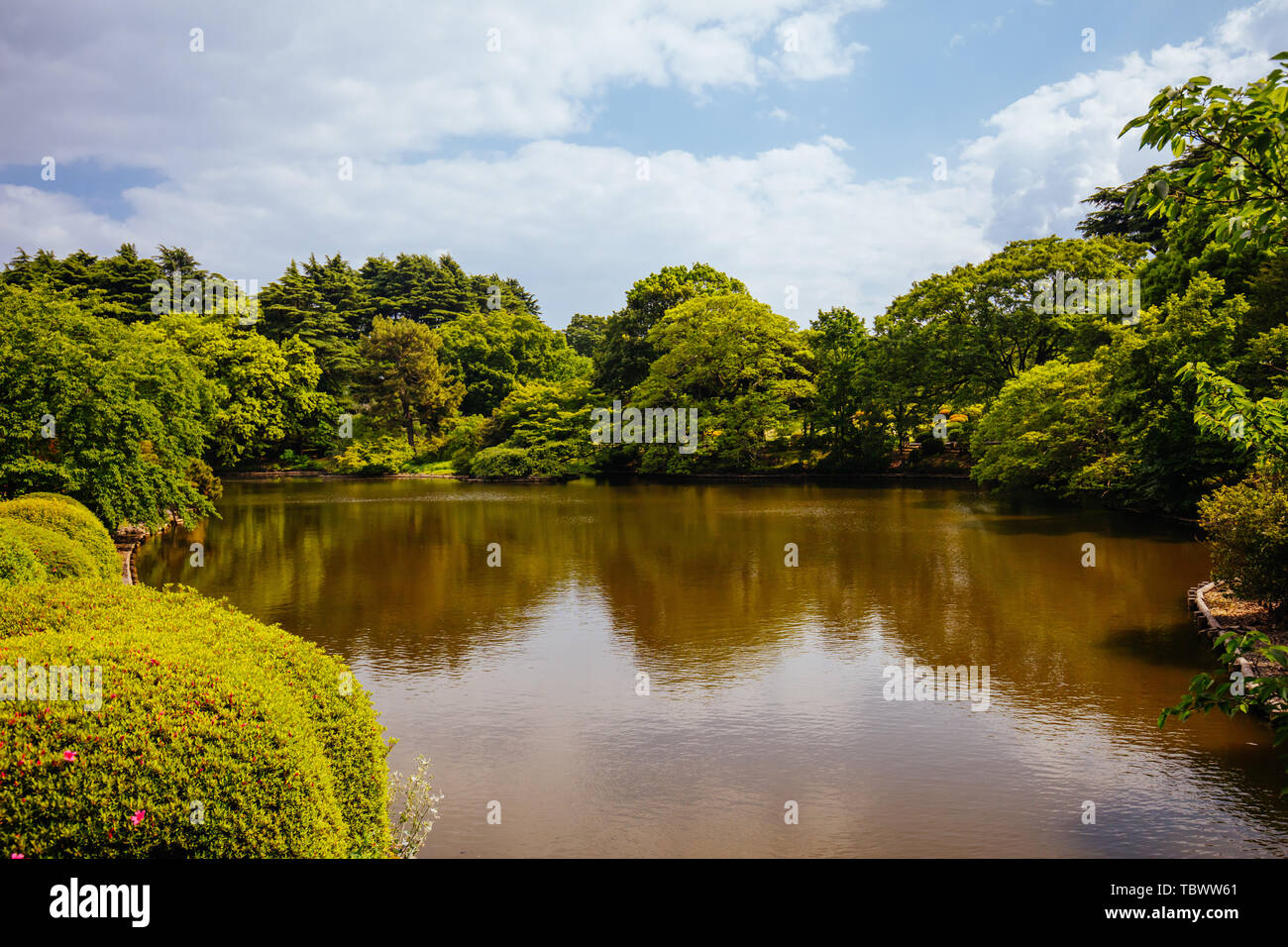Shinjuku Gyoen National Garden in Tokyo Stock Photo - Alamy