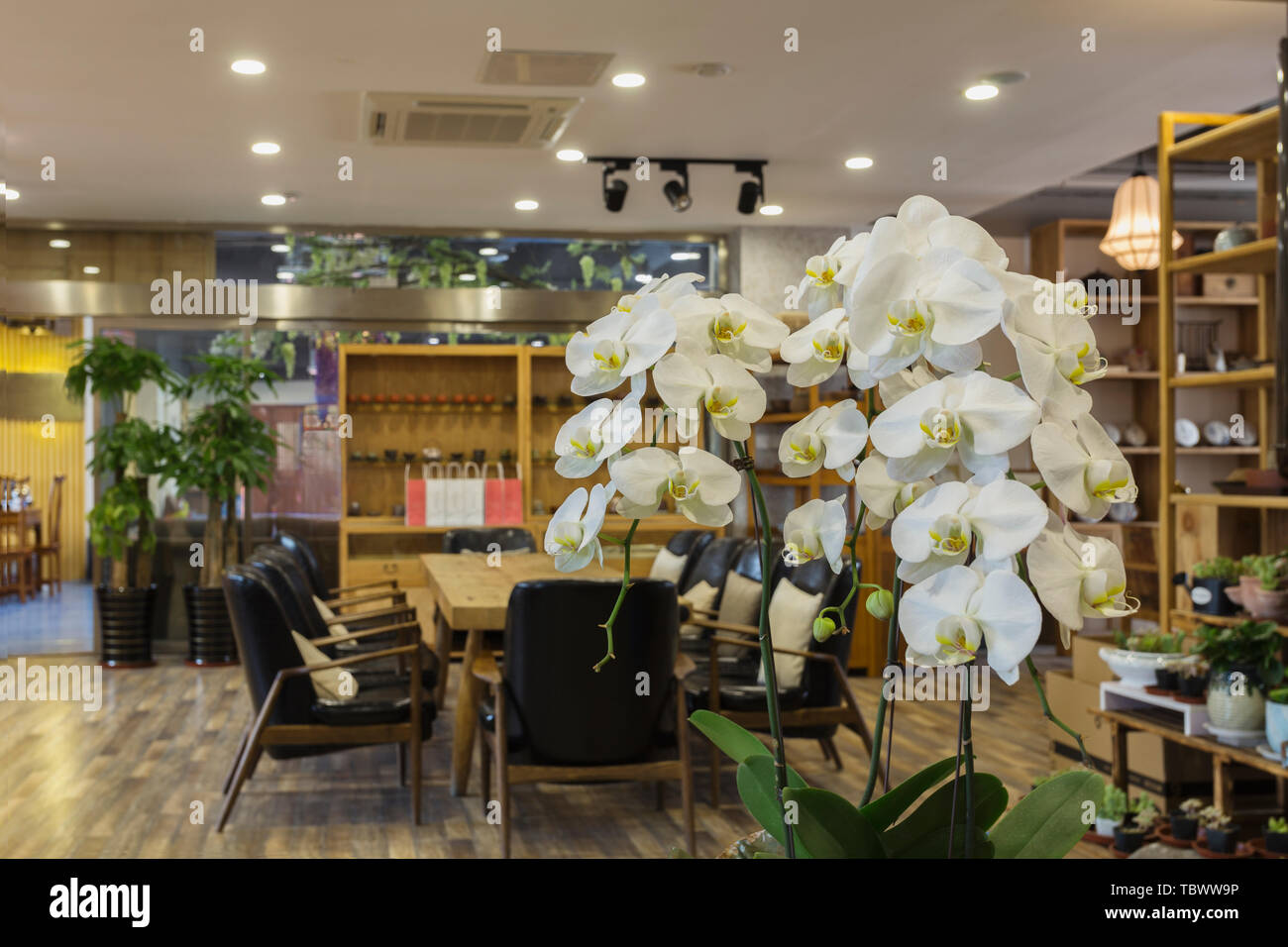 Tea room interior space Stock Photo - Alamy
