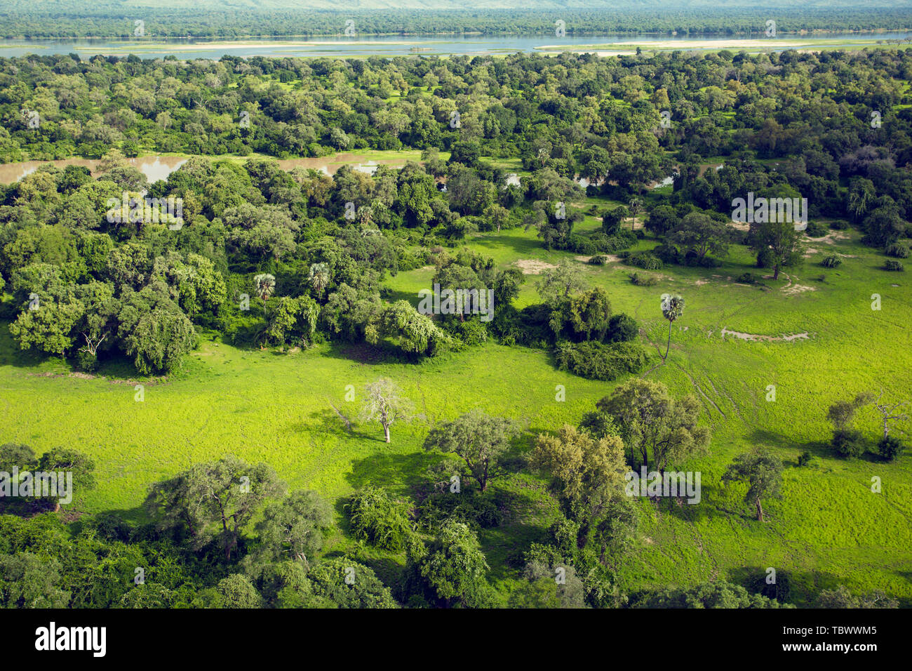 Africa, Zimbabwe, animals, nature pristine, Zambezi river, panorama ...