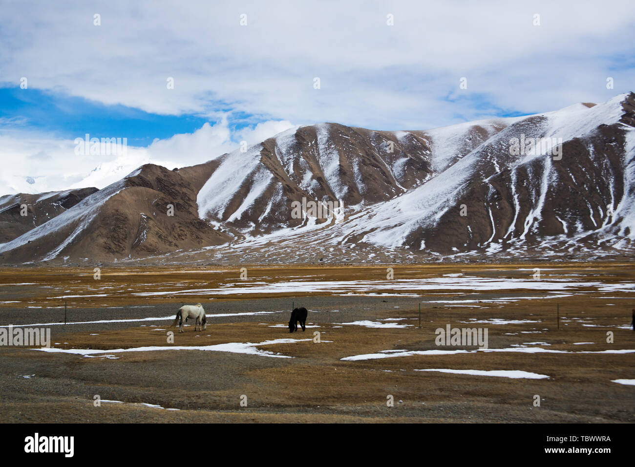 Scenery of Mushtag Snow Mountain in Xinjiang Stock Photo - Alamy