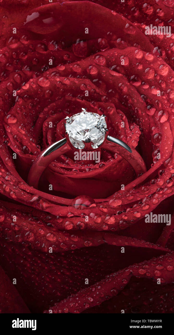 Diamond rings and roses Stock Photo - Alamy