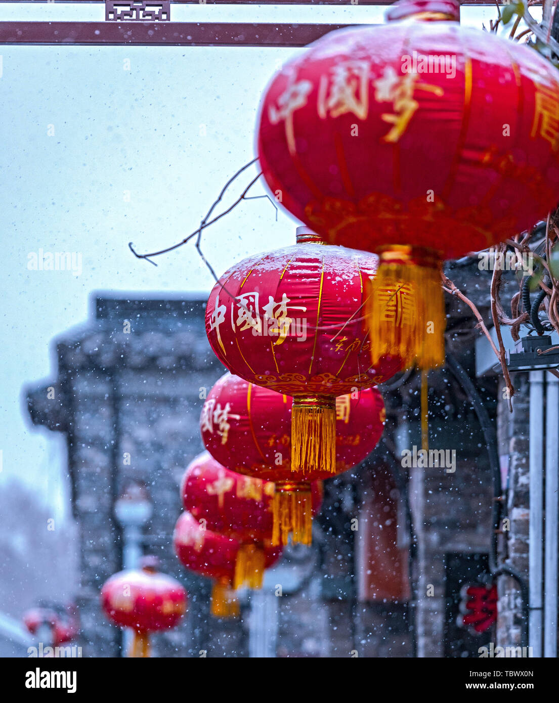 Red lanterns hanging high Stock Photo - Alamy