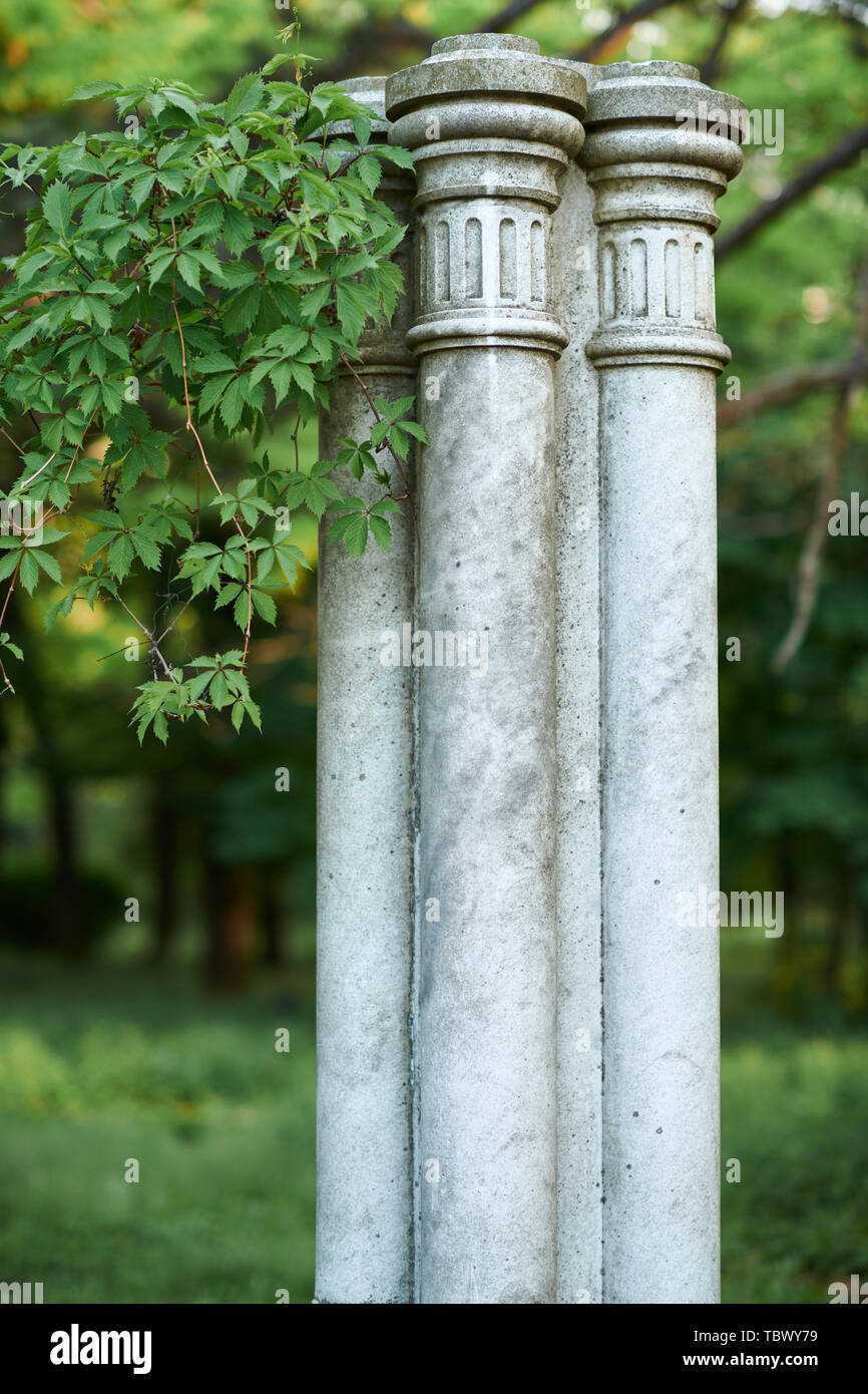 old white column in park, retro architecture, trees and leaves Stock ...