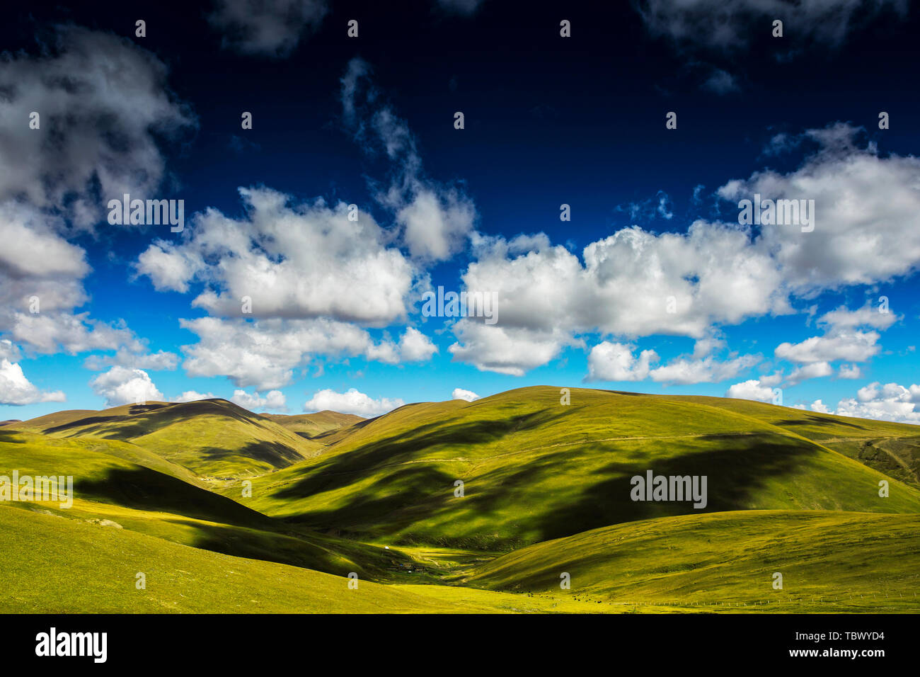Rice city of aden hi-res stock photography and images - Alamy