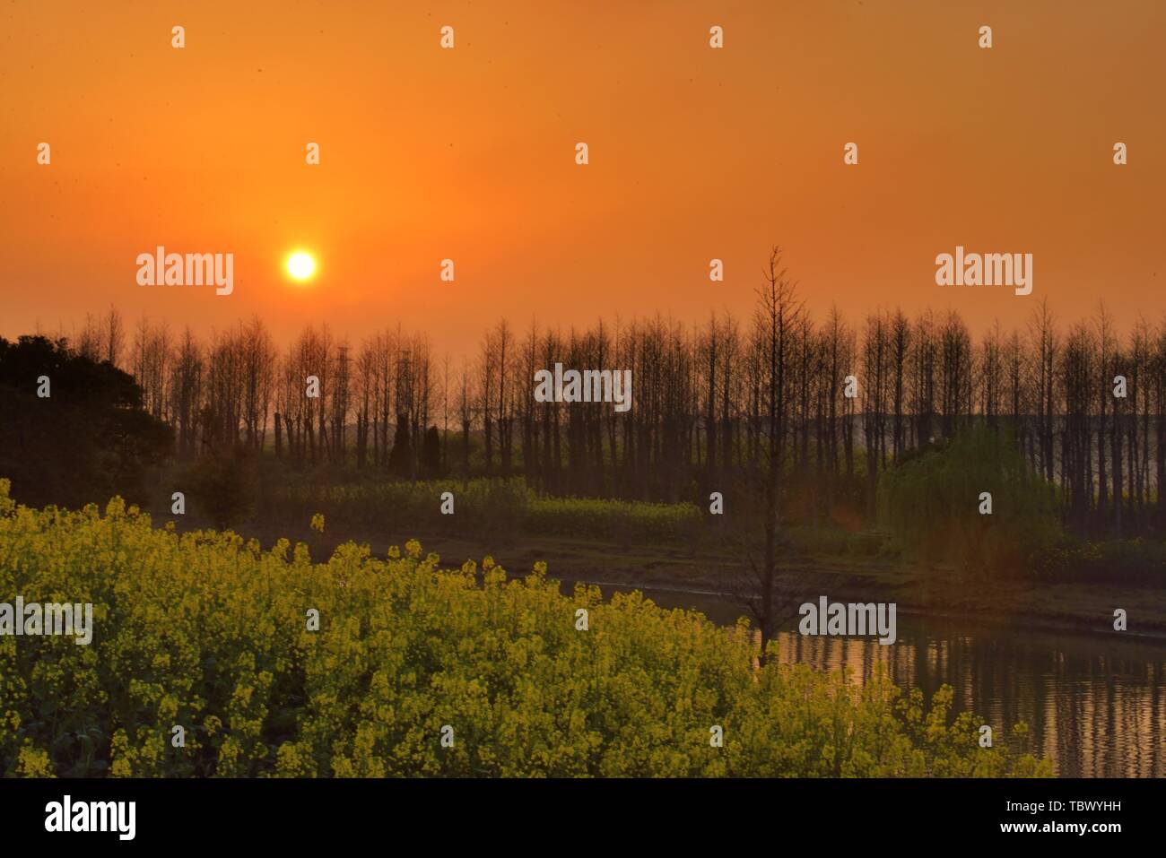 The sky and the sun and dusk outdoor rivers hi-res stock photography ...