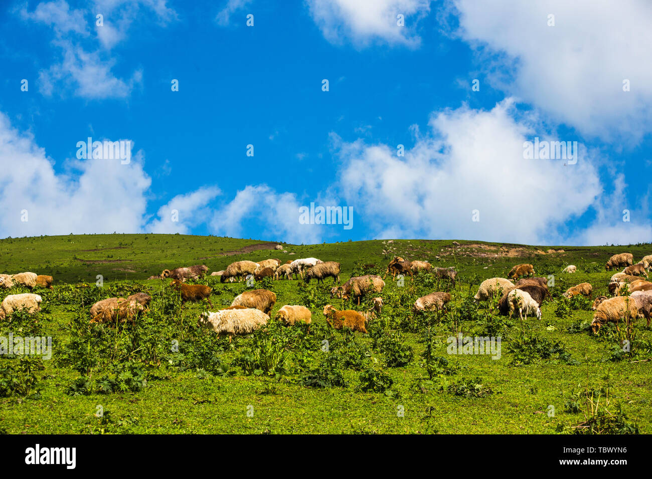 The Narati Prairie, which has a river valley and a mountain prairie ...