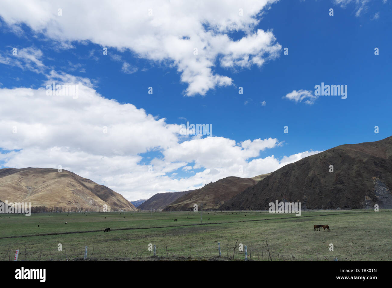 Xindu bridge hi-res stock photography and images - Alamy