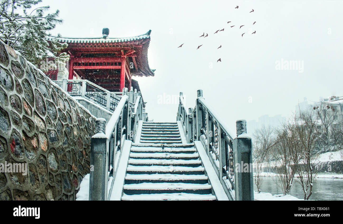 The snow is flying, on the banks of the Zhu Sakura Tower of the River ...