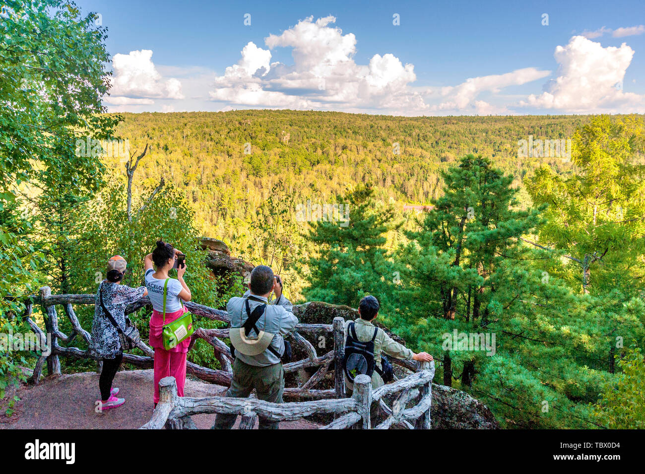 Strange forest scenic area hi-res stock photography and images - Alamy
