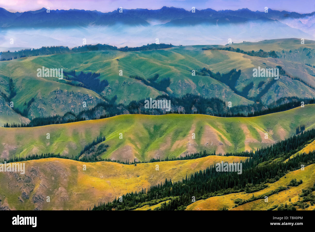 Xinjiang tianshan grassland landscape hi-res stock photography and ...