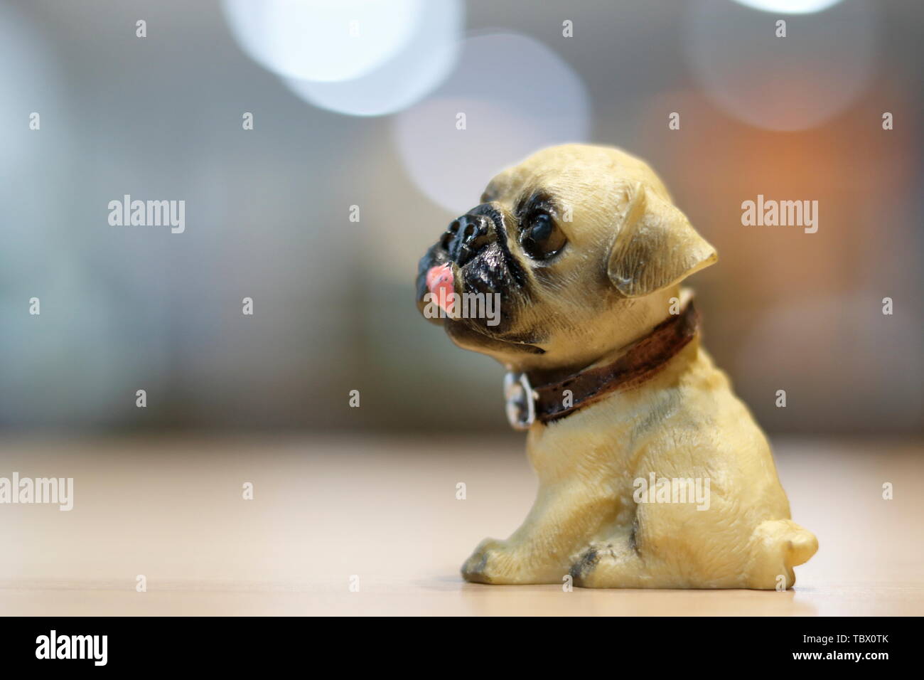 Still life with dog hi-res stock photography and images - Alamy