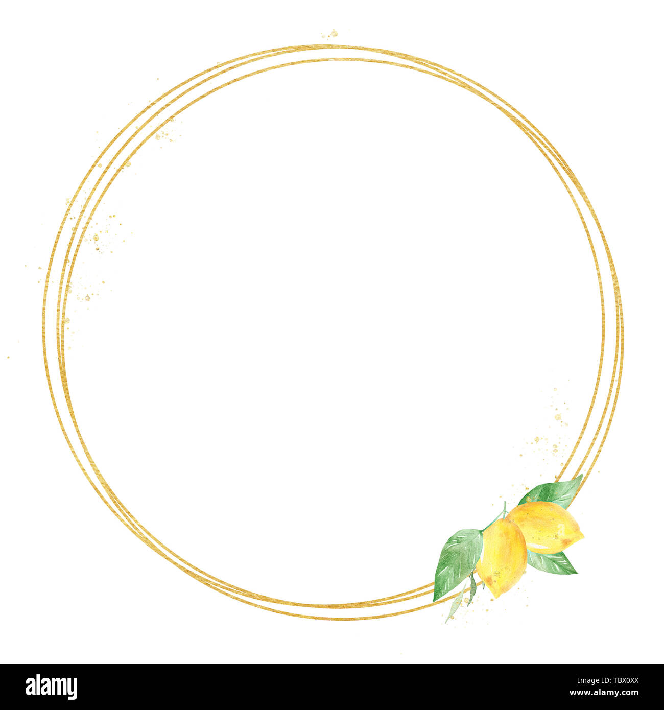 Round frame with lemon raster illustration. Thin line circle border ...