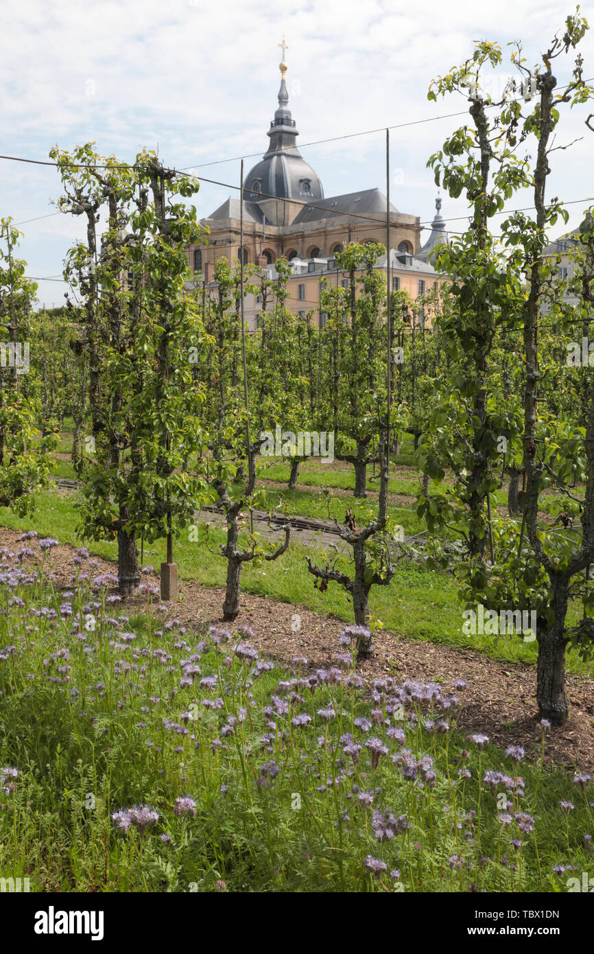 KITCHEN GARDEN OF THE KING, VERSAILLES FRANCE Stock Photo - Alamy