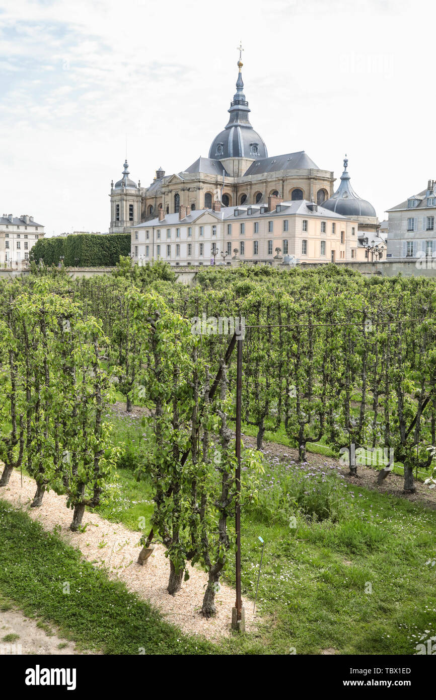 KITCHEN GARDEN OF THE KING, VERSAILLES FRANCE Stock Photo - Alamy