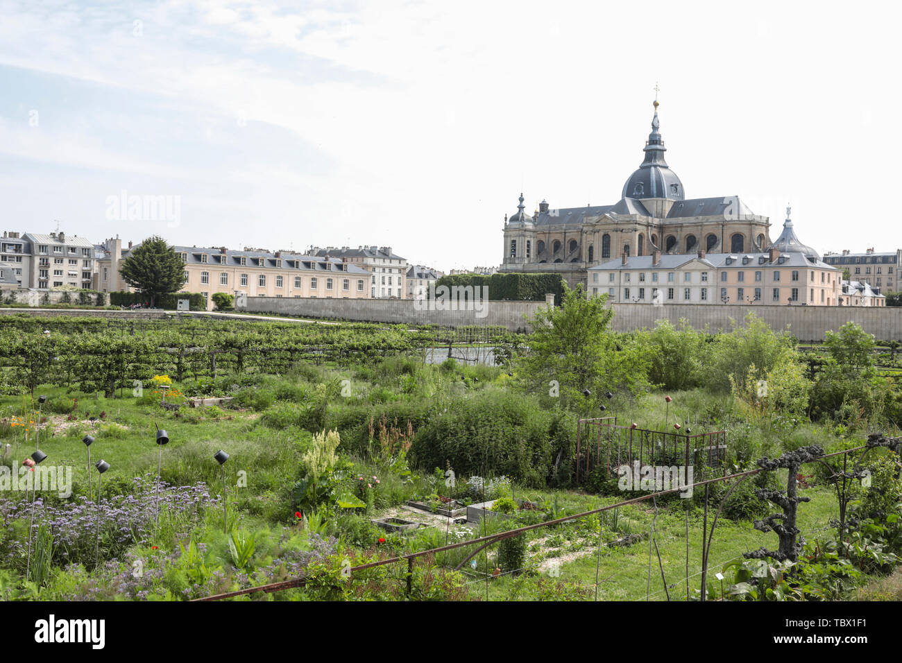 KITCHEN GARDEN OF THE KING, VERSAILLES FRANCE Stock Photo - Alamy