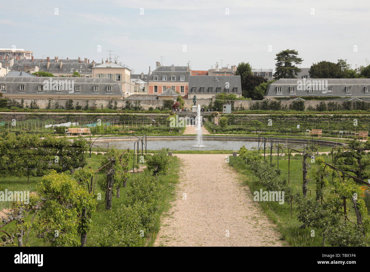 KITCHEN GARDEN OF THE KING, VERSAILLES FRANCE Stock Photo - Alamy
