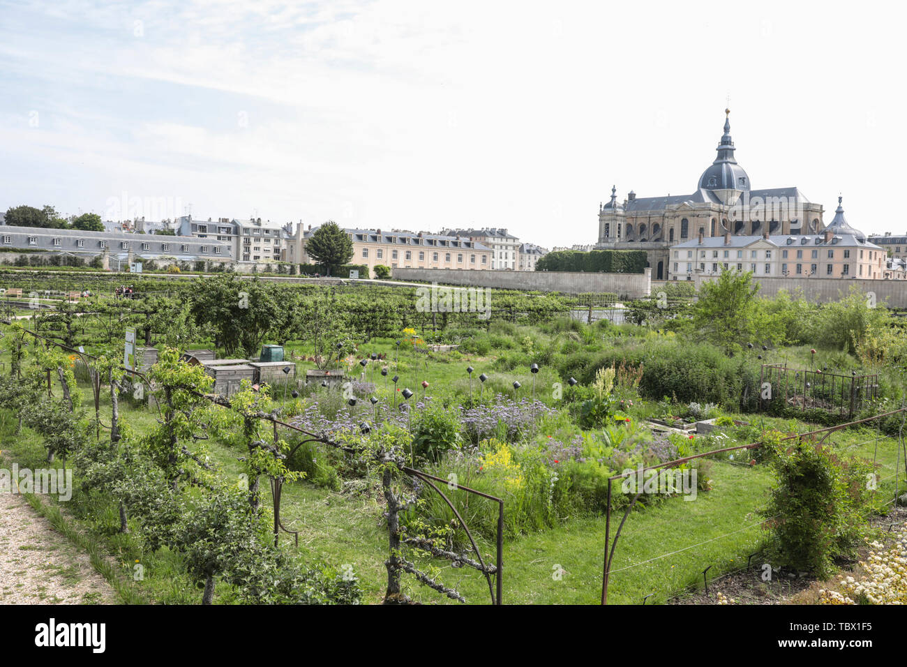 Palace Of Versailles Kitchen