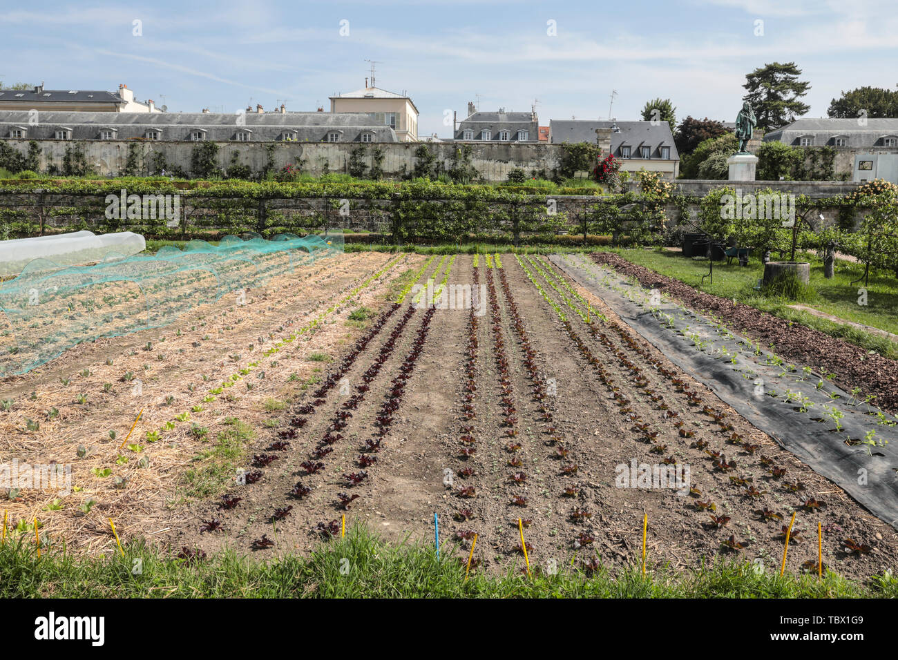 KITCHEN GARDEN OF THE KING, VERSAILLES FRANCE Stock Photo - Alamy