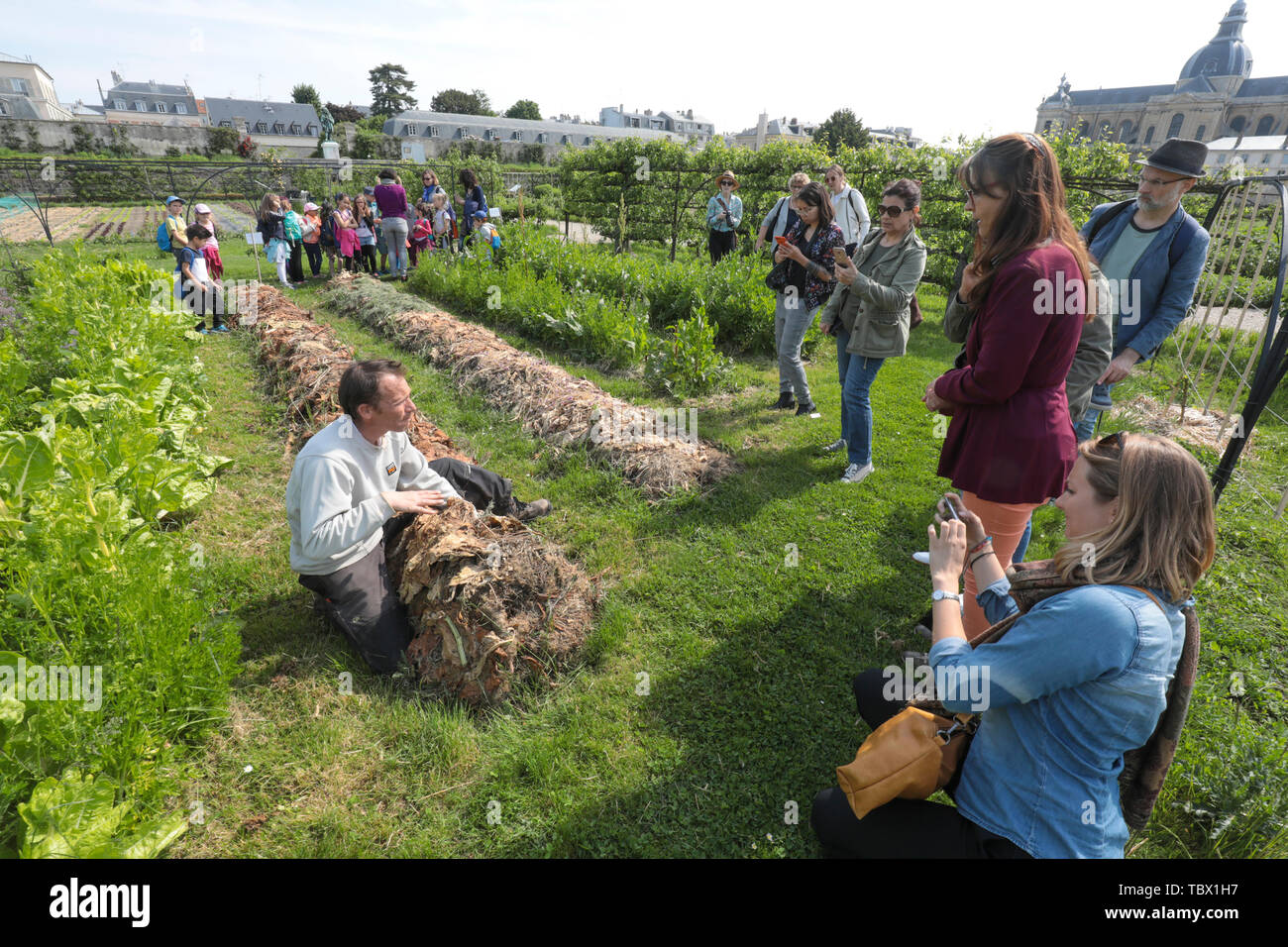 KITCHEN GARDEN OF THE KING, VERSAILLES FRANCE Stock Photo - Alamy