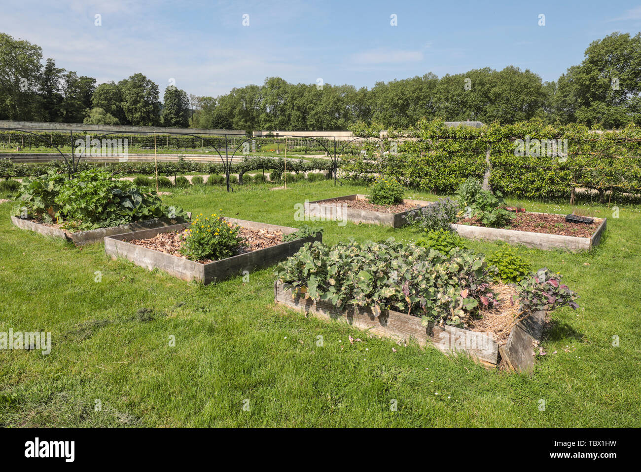KITCHEN GARDEN OF THE KING, VERSAILLES FRANCE Stock Photo - Alamy