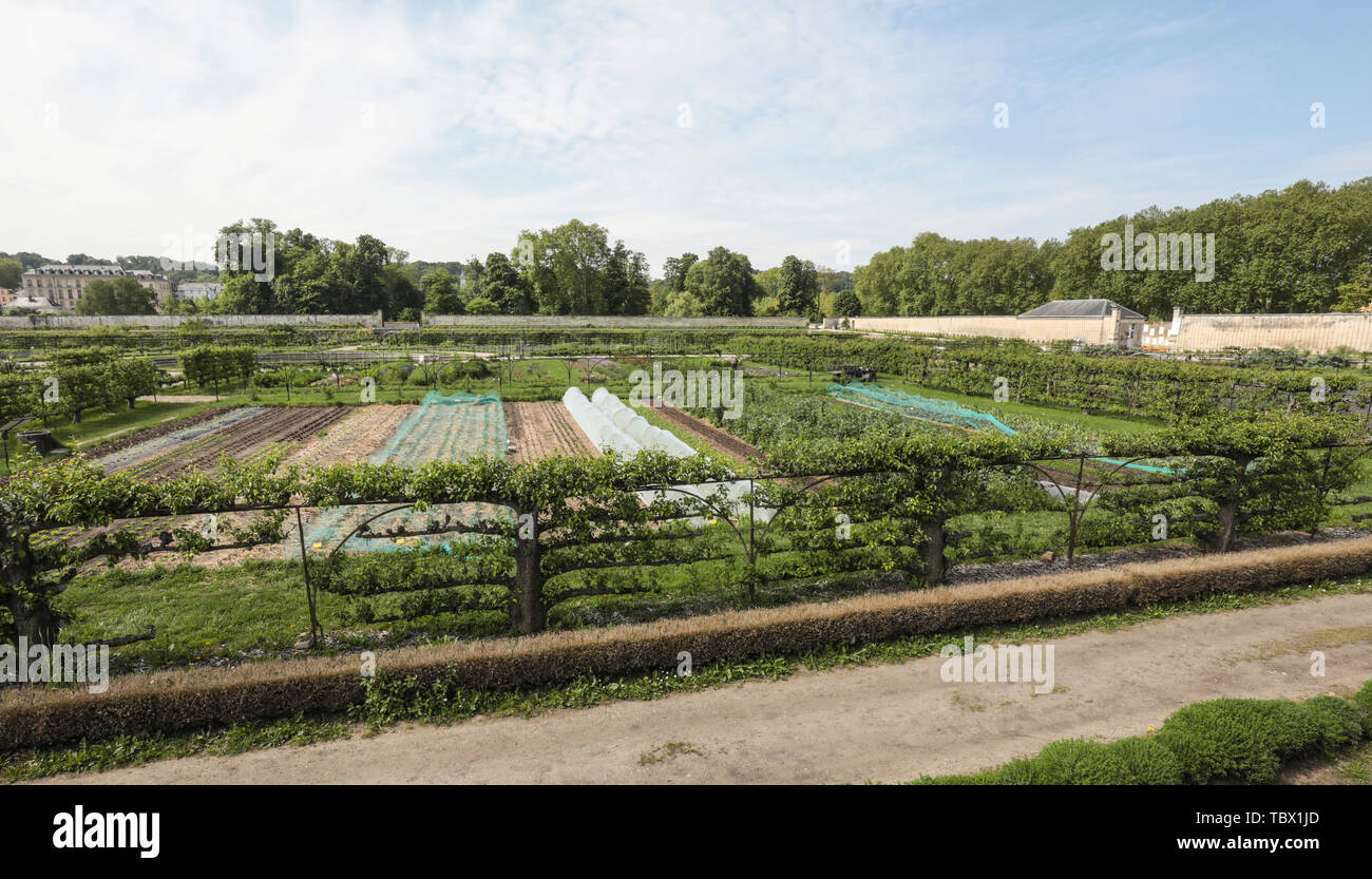 KITCHEN GARDEN OF THE KING, VERSAILLES FRANCE Stock Photo - Alamy