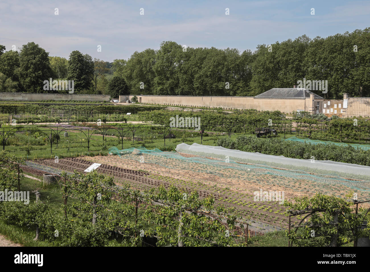KITCHEN GARDEN OF THE KING, VERSAILLES FRANCE Stock Photo - Alamy