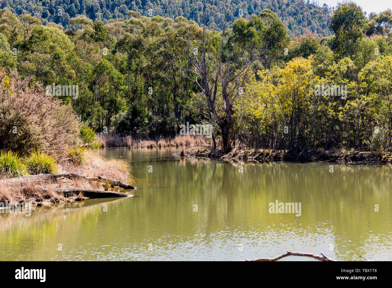 Lake in Canberra Safari Park Stock Photo - Alamy