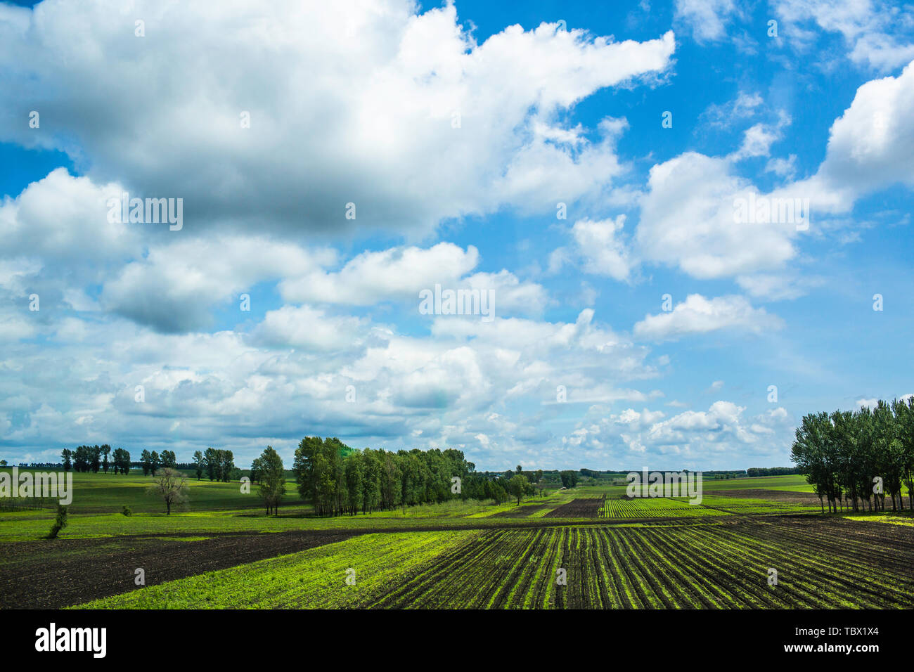 The sky is gorgeous, the earth is vast Stock Photo - Alamy