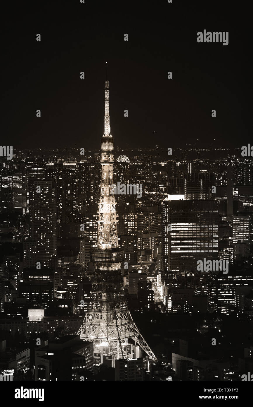 High-altitude overlook at night, Tokyo Tower, black-and-white texture ...
