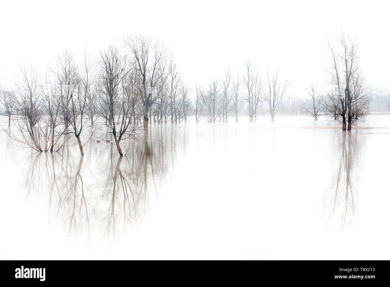 The scenery of Nianghu in Qujing, Yunnan Stock Photo - Alamy