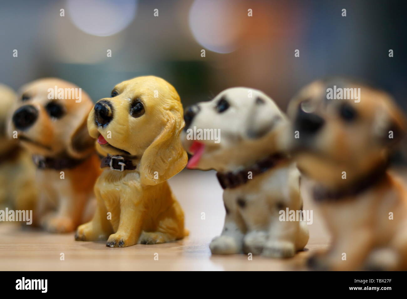 Still life pet dog Stock Photo - Alamy