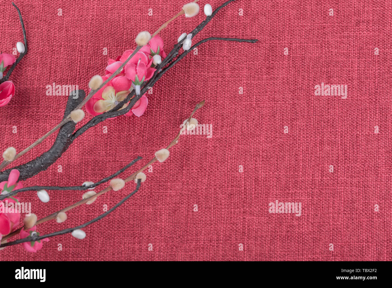 Precious plum hi-res stock photography and images - Alamy