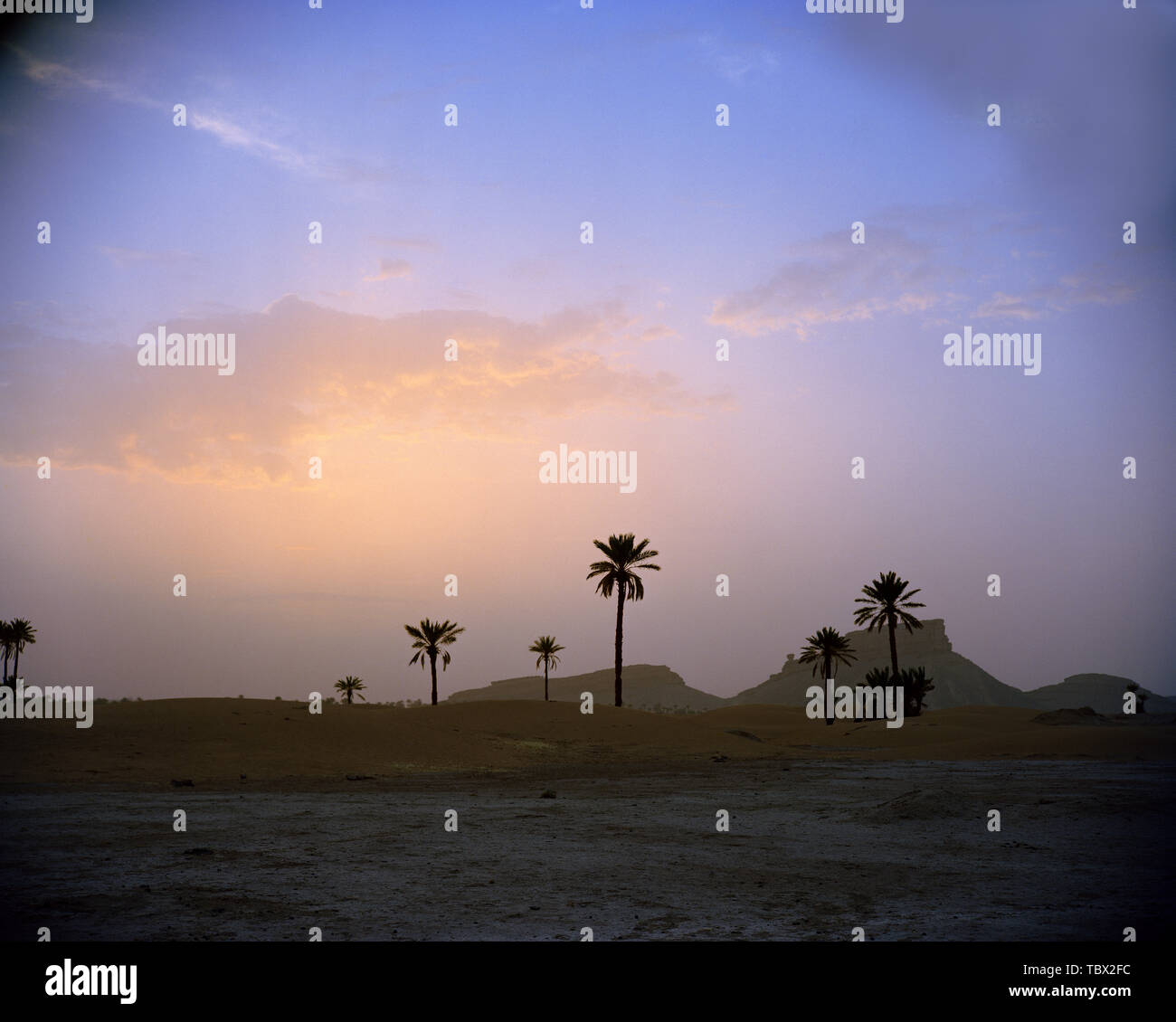 Desert landscape at sunset Stock Photo - Alamy