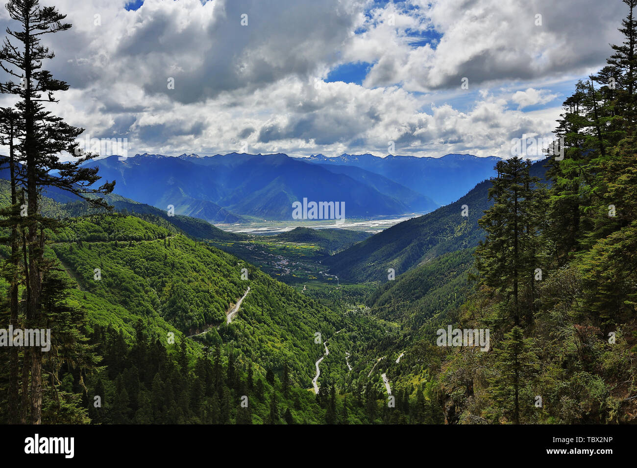 Scenery of Lulang Linhai in Yingzhi region, Tibet Stock Photo - Alamy