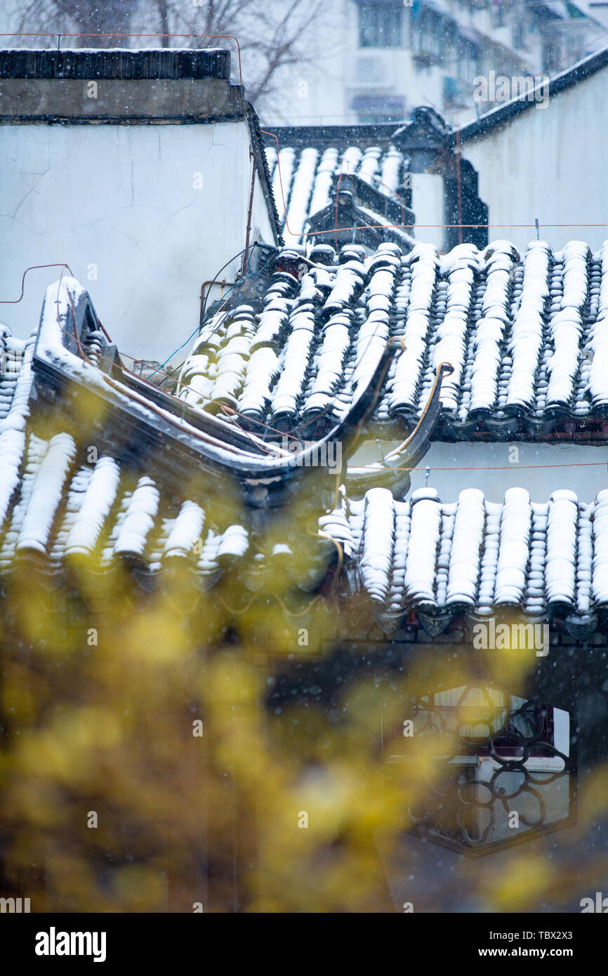 Junyuan plum blossom Stock Photo - Alamy