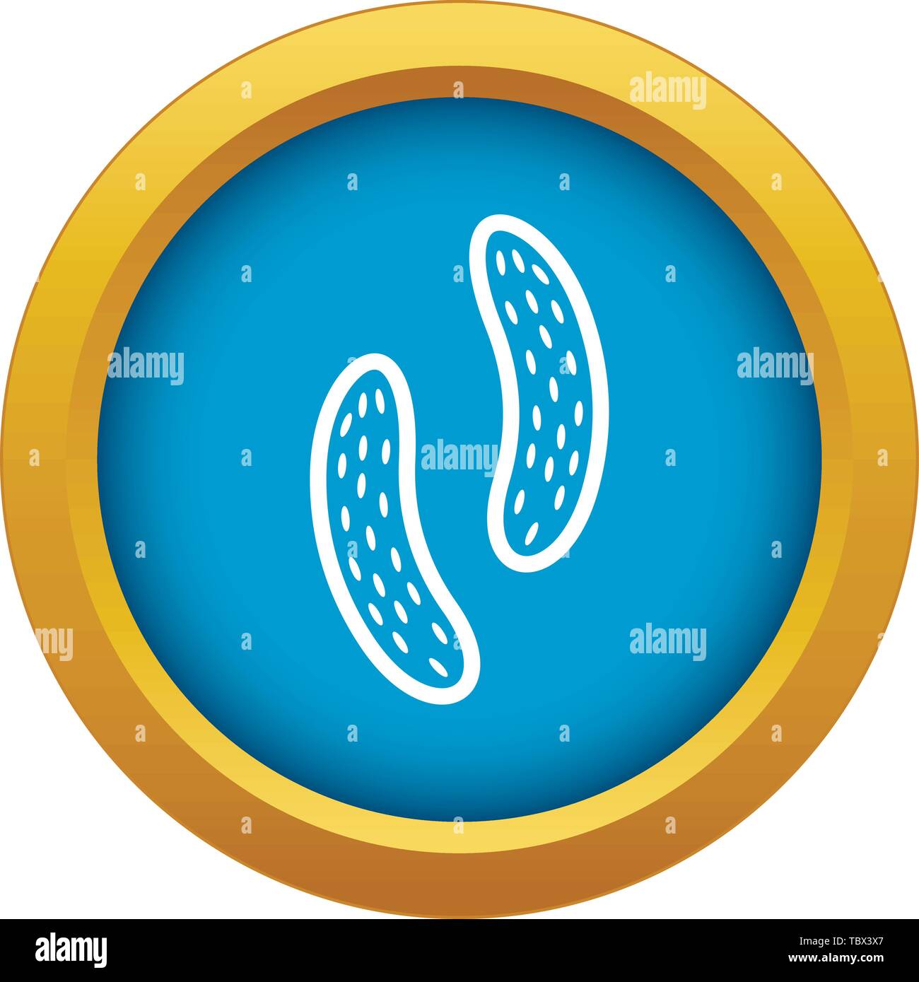 Epithelial cell icon blue vector isolated Stock Vector Image & Art - Alamy