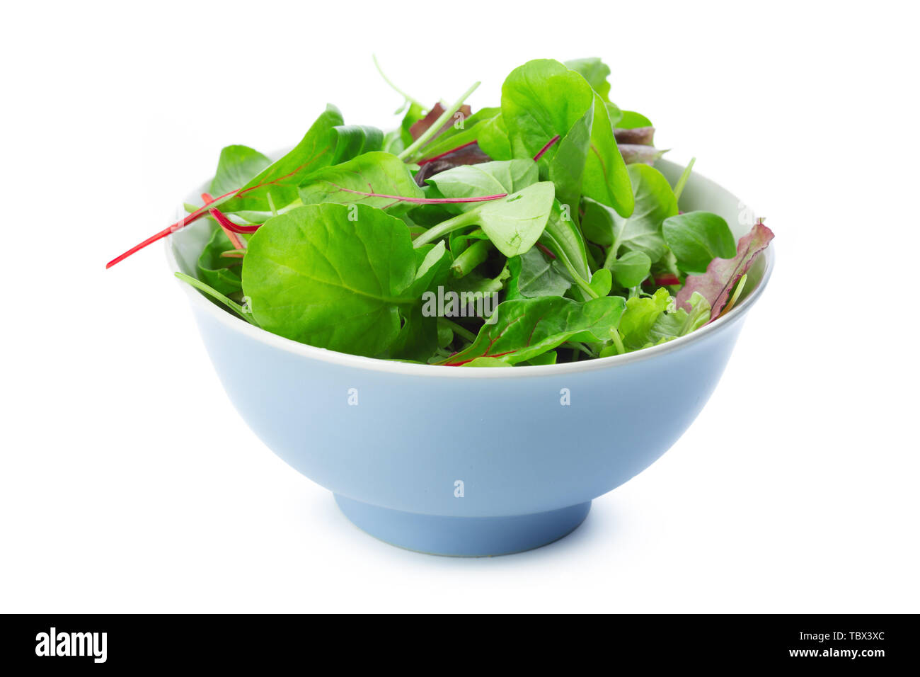 Greenery close up isolated on white background Stock Photo - Alamy