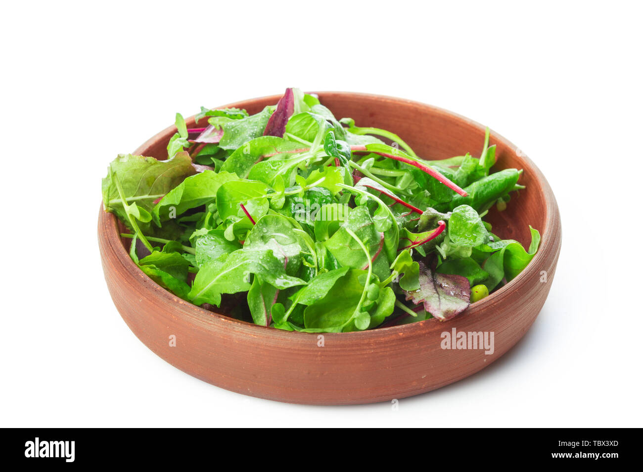 Greenery isolated on white background Stock Photo - Alamy