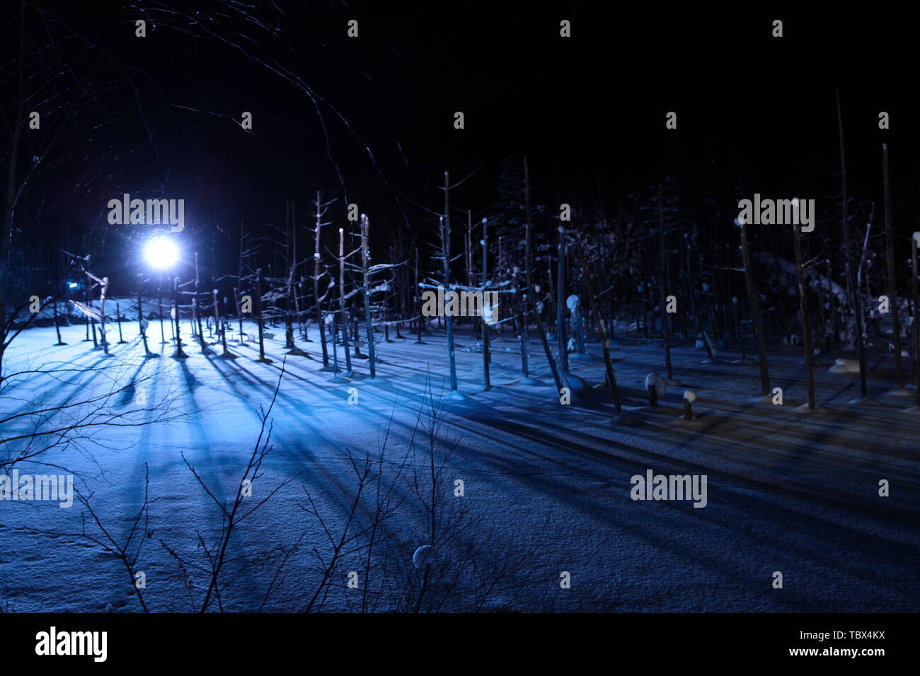 Qingchi hi-res stock photography and images - Alamy